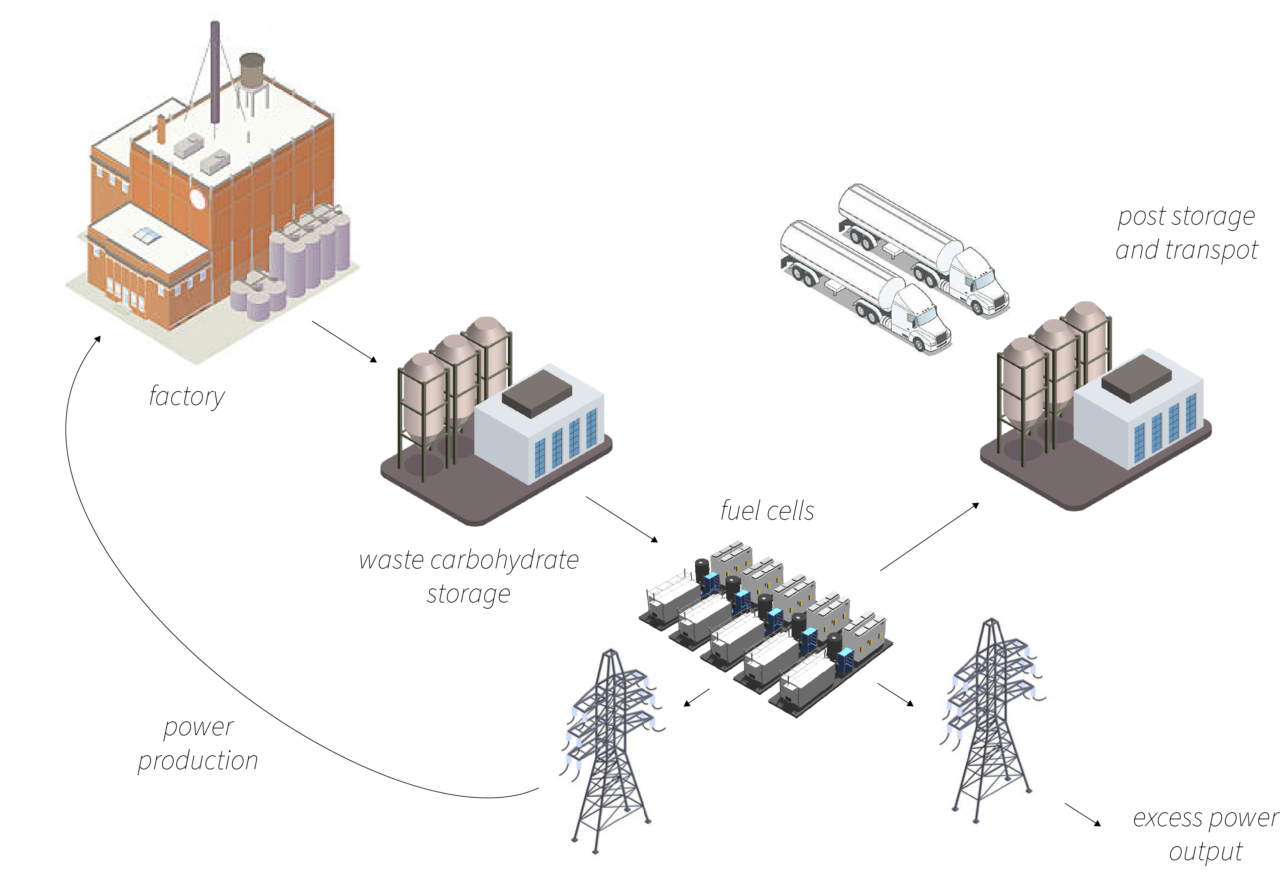 biowatt.com | Sustainable Power Systems